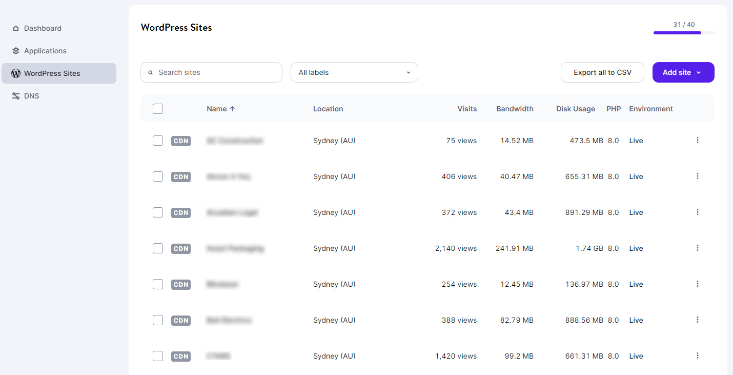 Why we use Kinsta for website hosting | Paramark